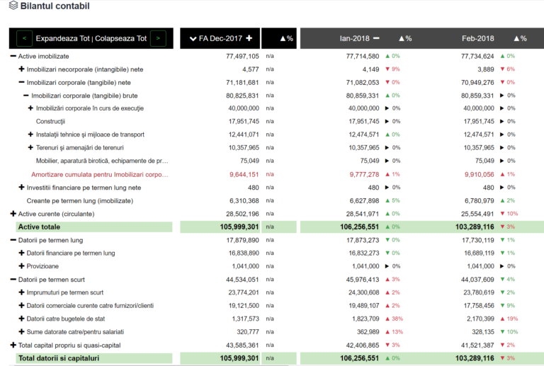 Bilanțul Contabil – situația financiară a firmei | Ghidul financiar ...